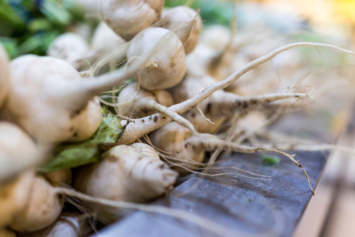 Rotkva čisti organizam