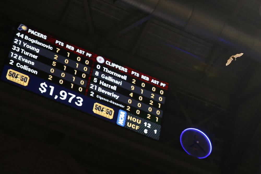 VIDEO Slijepi miš na par minuta prekinuo NBA utakmicu