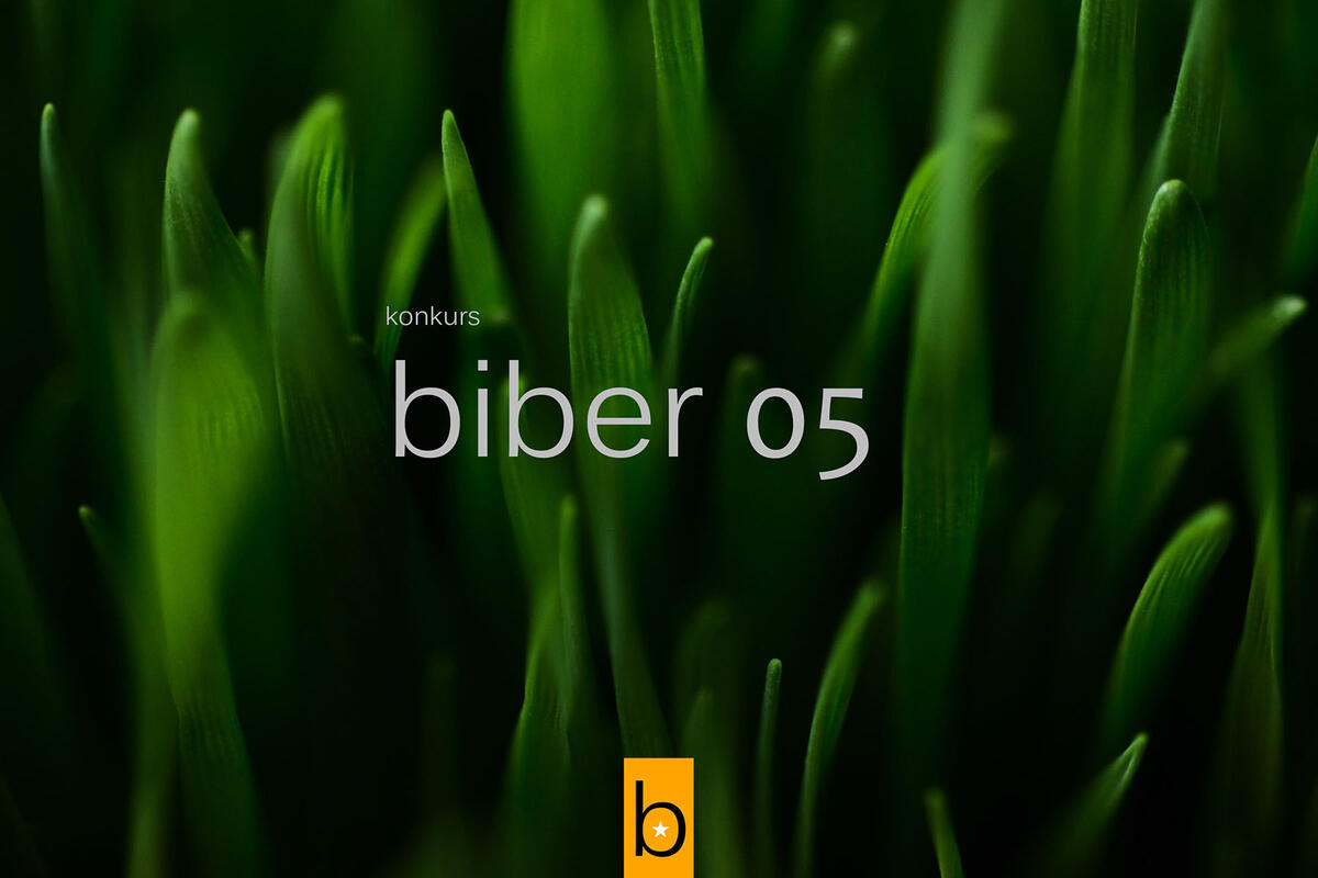 Regional competition for the short story "Biber"