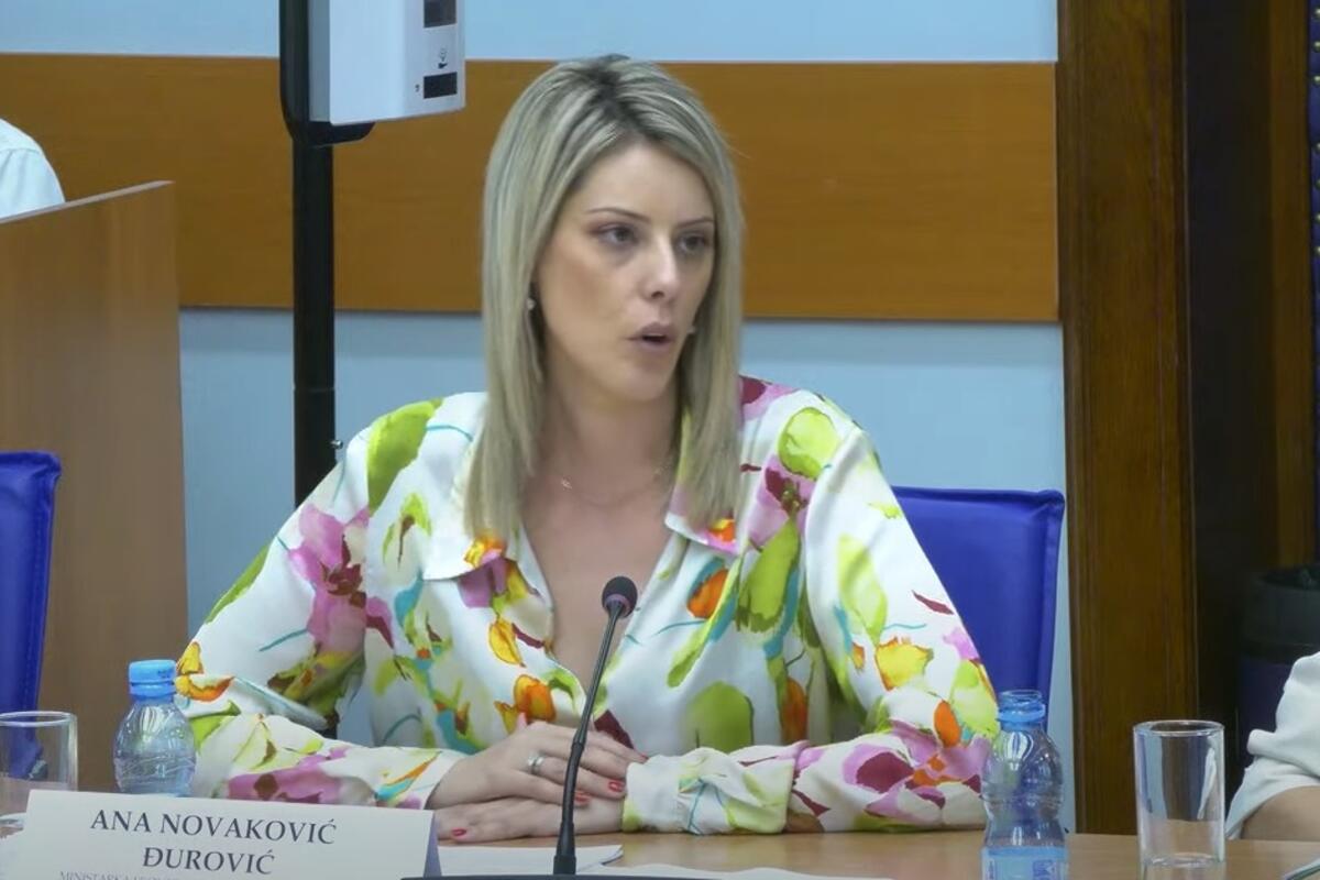 Novaković Đurović: Za kvalitetno i trajno rješenje erozije na Adi ...