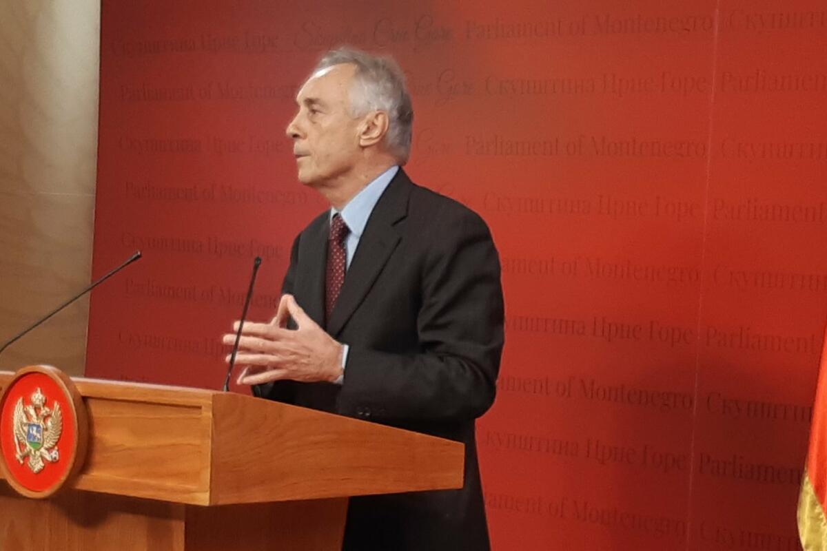 Lekić: Umjesto pristupa formiranja vlade kao dioničarsko-trgovačkog ...