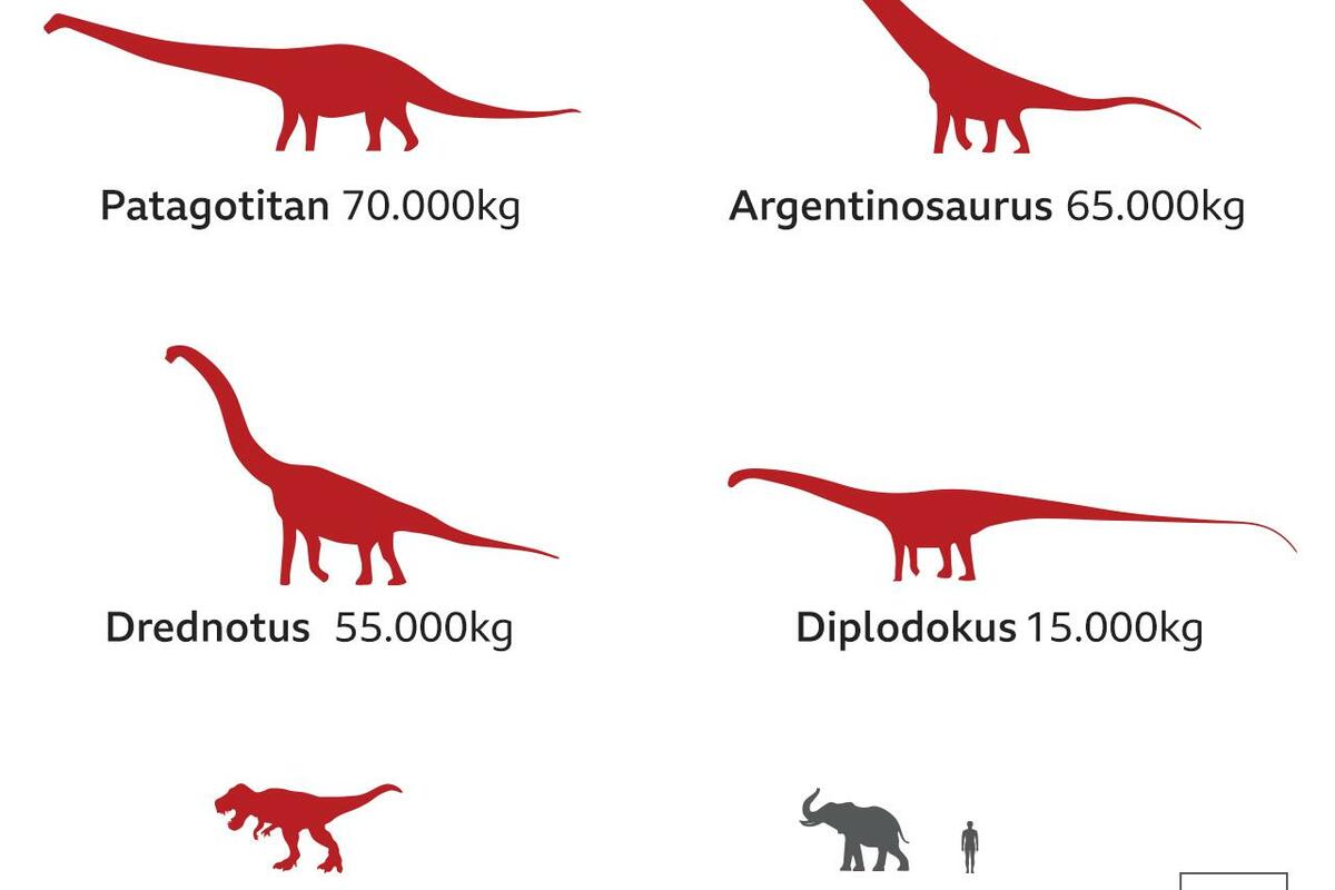argentinosaurus size chart
