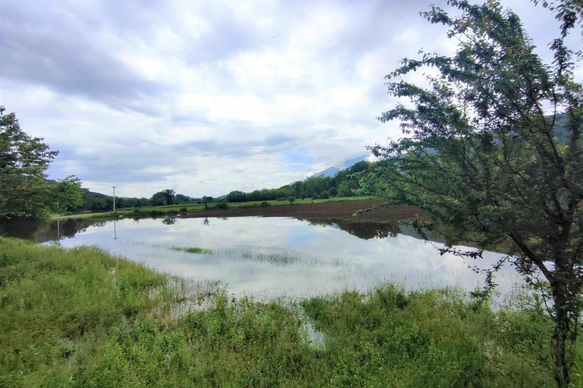 Zbog elektrane gube i njive i prihode