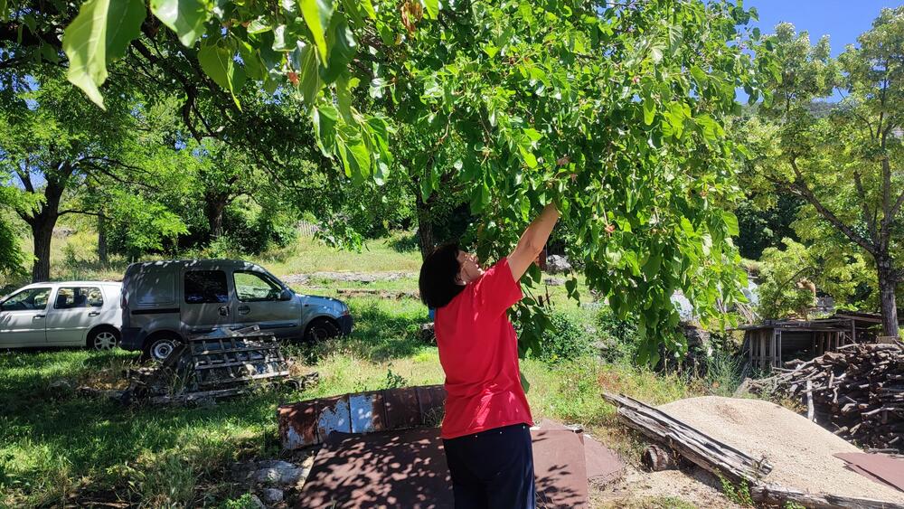 Selo Kljakovica: Pogled na jezero, ali i prošlost, uz miris lavande ...