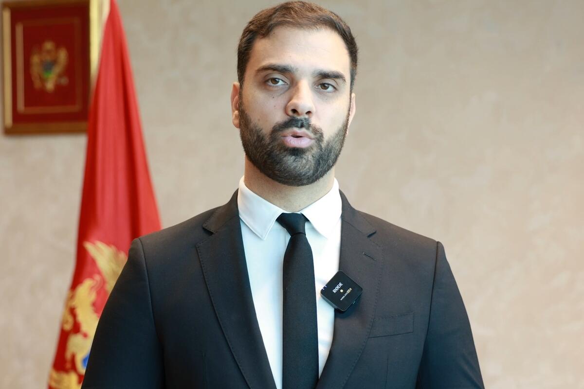 Radulović: Vjerujemo da je razdvajanje Luke Bar i Port of Adria bio ...